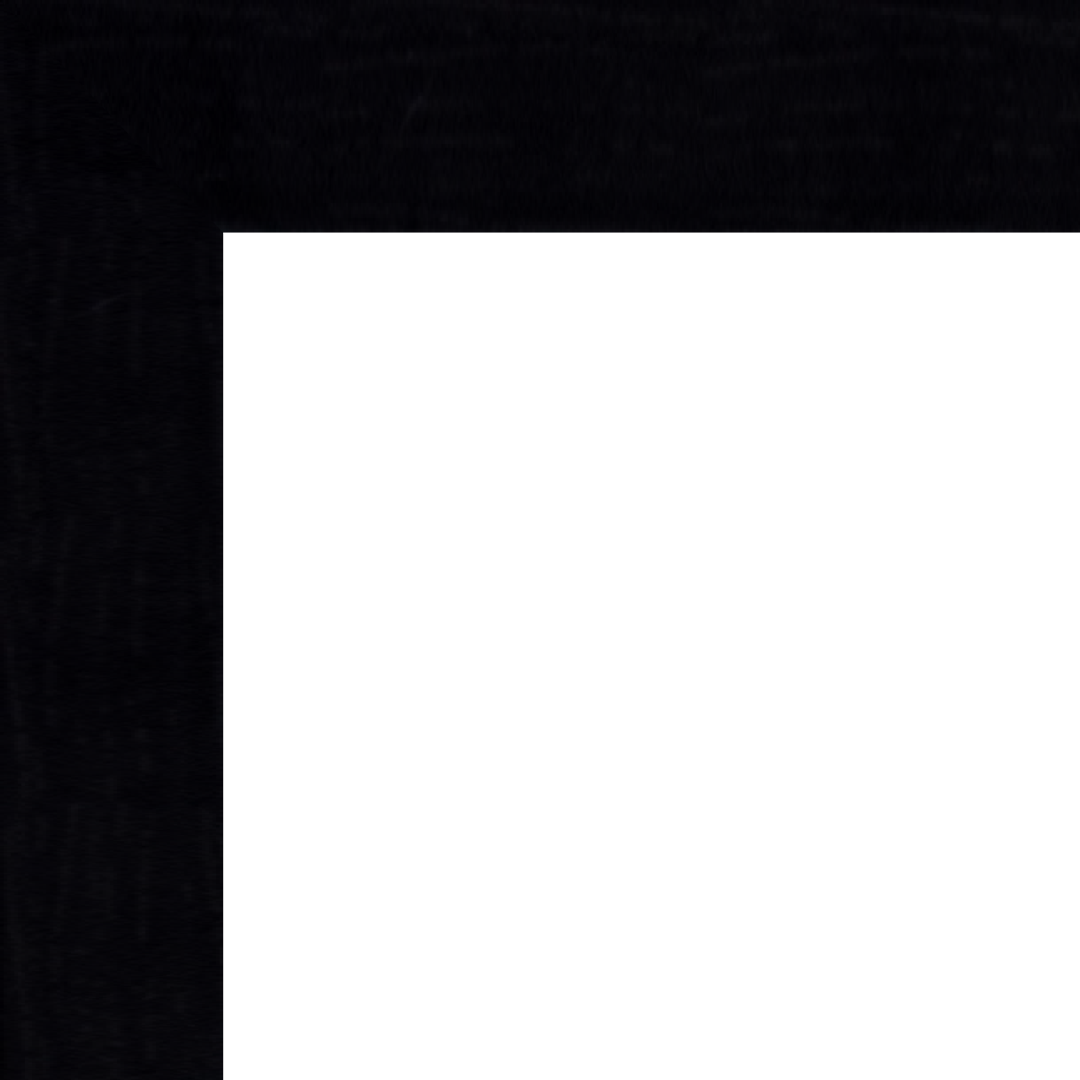Black Eel Without Mount Frame 1065B7001 – Wall Decor Company